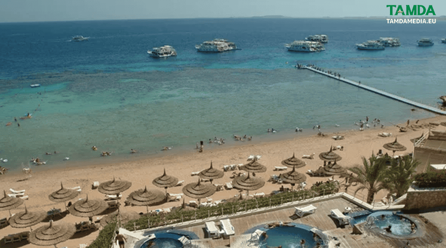 Du khách Séc chết ở biển Ai Cập, nhân chứng phàn nàn cuộc giải cứu là ...